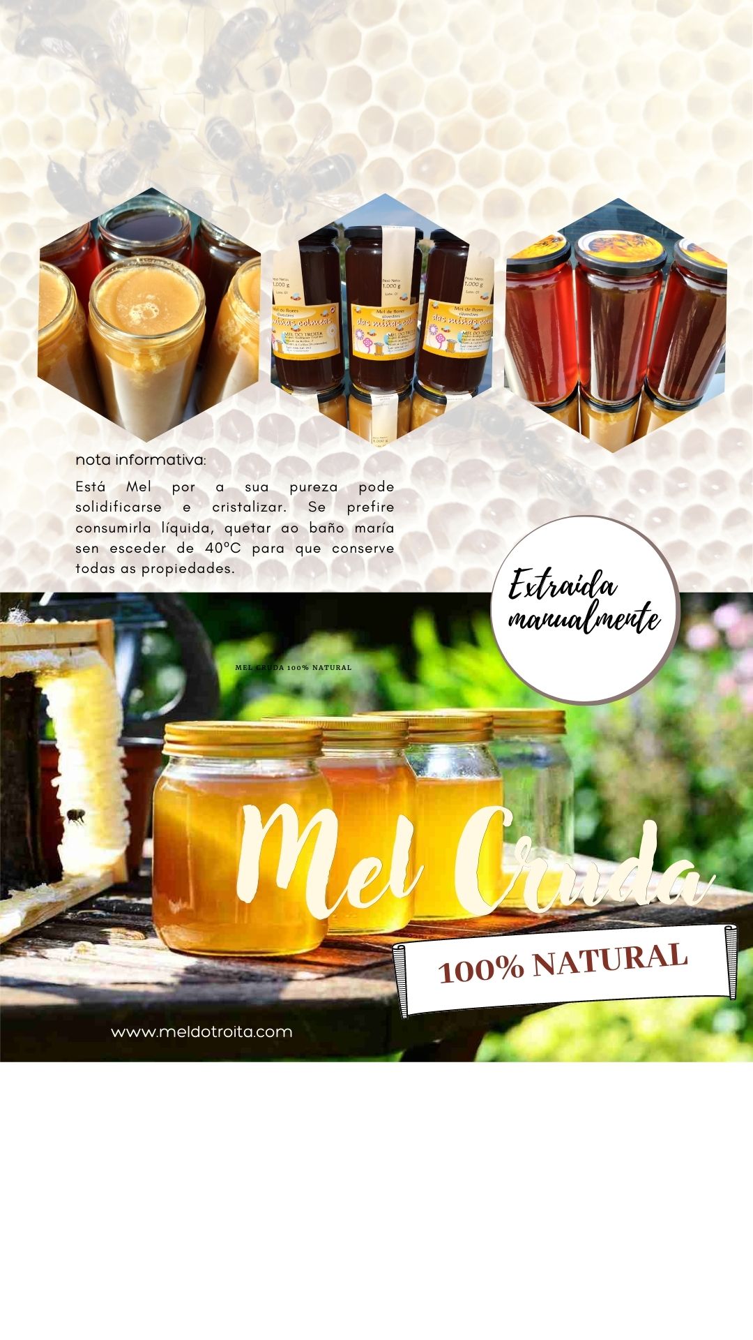 Mel Natural de Galicia – Miel Cruda de cosecha propia